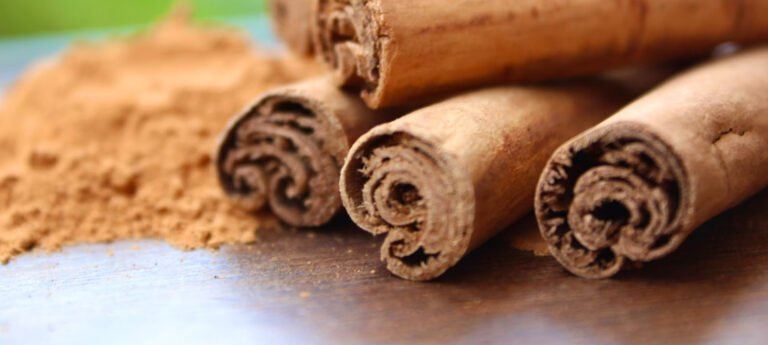 Cinnamon - Its Types and Medicinal Properties - Food Hyme